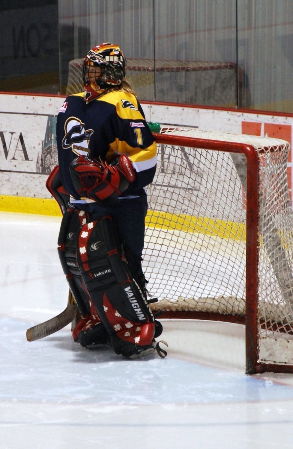 Sami Jo Small | Part One: The beginning of the CWHL | Women's Hockey Life