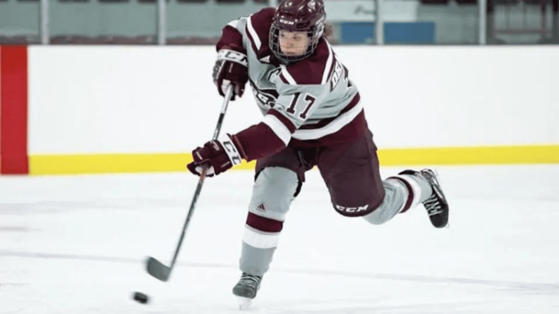 From the ice to behind the bench: The career of Delaney Collins | Women ...