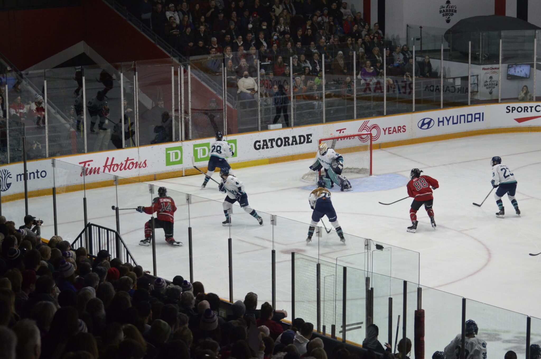 Growing pains: Ottawa expands, yet faces another overtime loss | Women ...