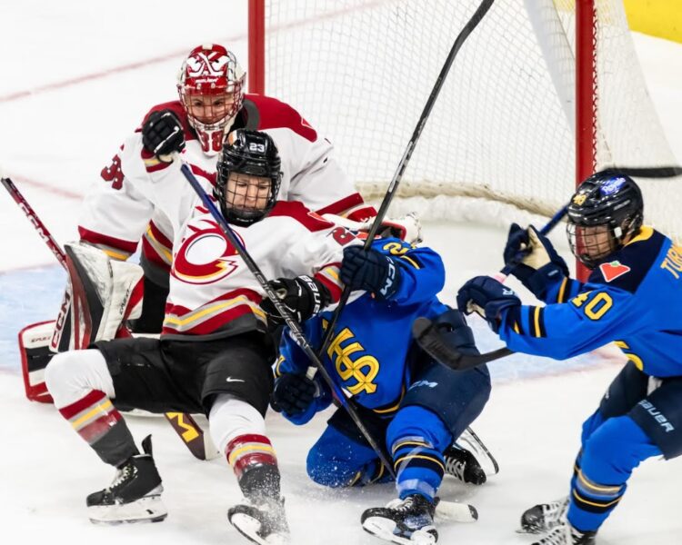 Newly acquired Jocelyne Larocque brings wealth of experience to Charge ...